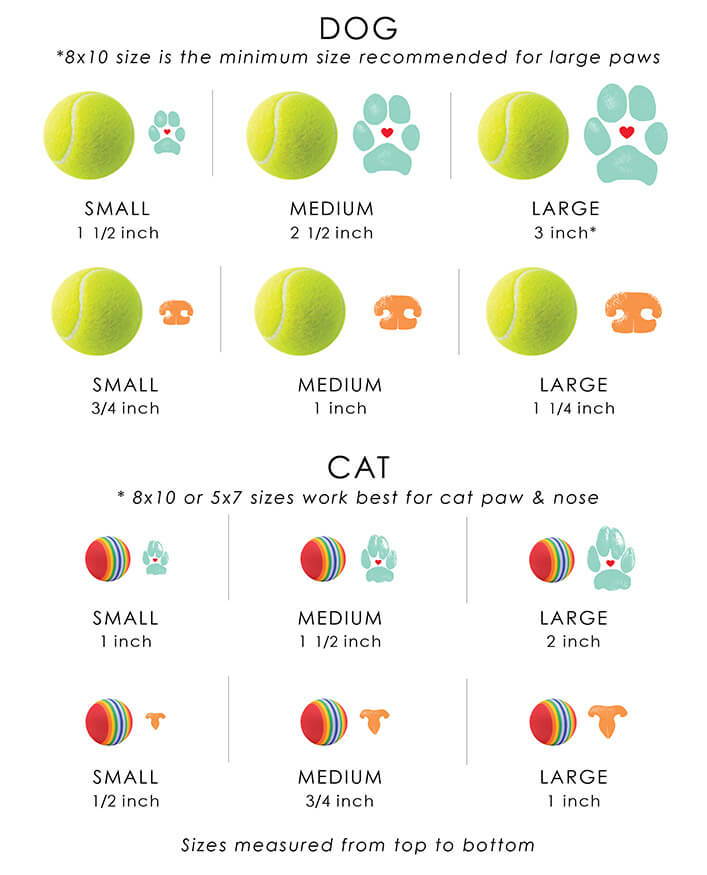 Custom Pet Nose Print Memorial Art | How to Get Dog Nose Print Easy Way – Flutterbye Prints